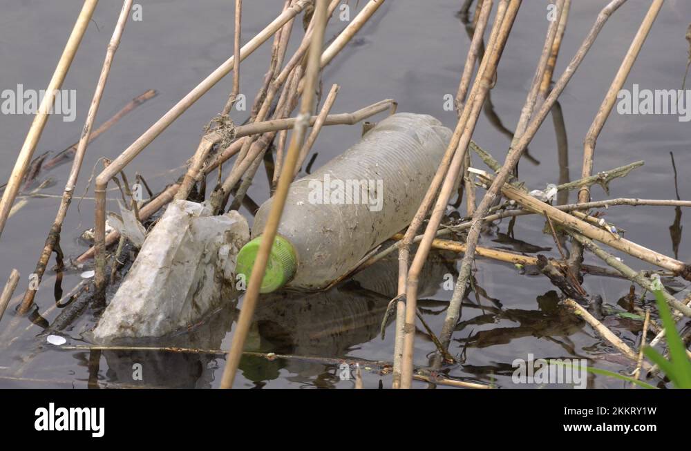 Litter trap on Stock Videos & Footage - HD and 4K Video Clips - Alamy