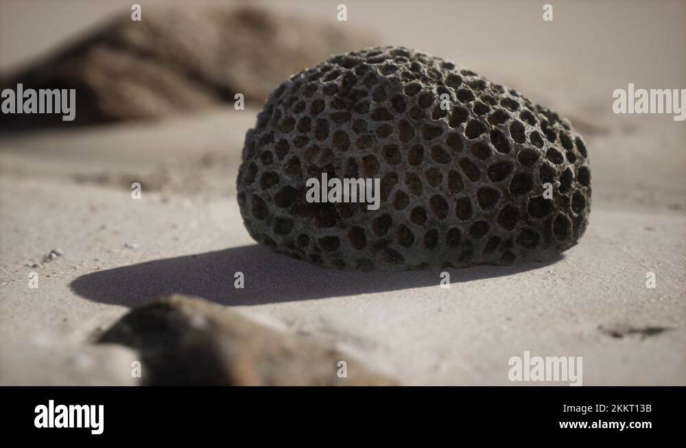 Coral sand on beach Stock Videos & Footage - HD and 4K Video Clips - Alamy