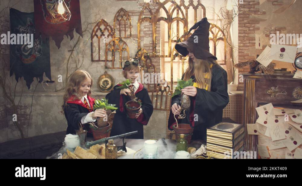 Wizard class Stock Videos & Footage - HD and 4K Video Clips - Alamy