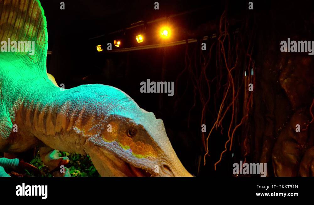 Jurassic scenery Stock Videos & Footage - HD and 4K Video Clips - Alamy