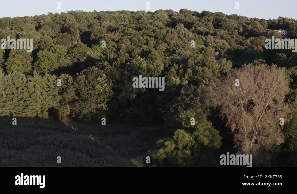 Drone flying backwards over forest reveal old historic silo and barn ...