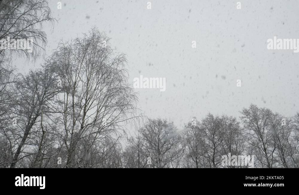 Snow falling from the sky Stock Videos & Footage - HD and 4K Video ...