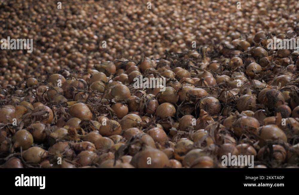 Storage pile Stock Videos & Footage - HD and 4K Video Clips - Alamy