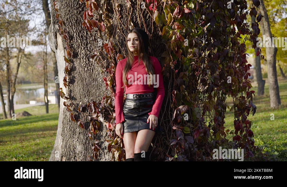 Slim tree trunk Stock Videos & Footage - HD and 4K Video Clips - Alamy