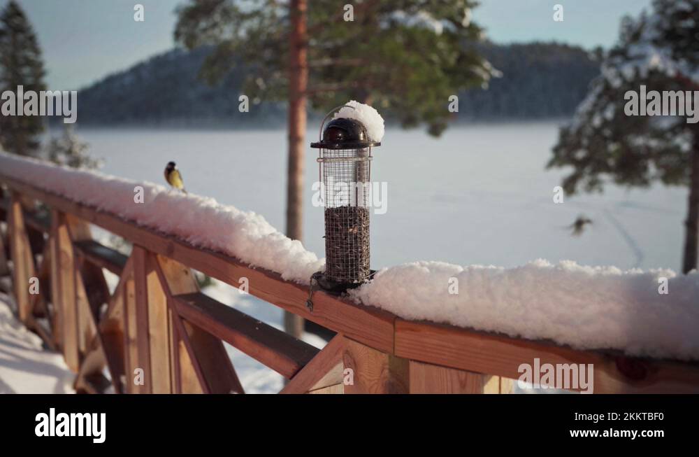 Feeder On A Wooden Terrace Of A Cottage With Flying Birds Perched And ...