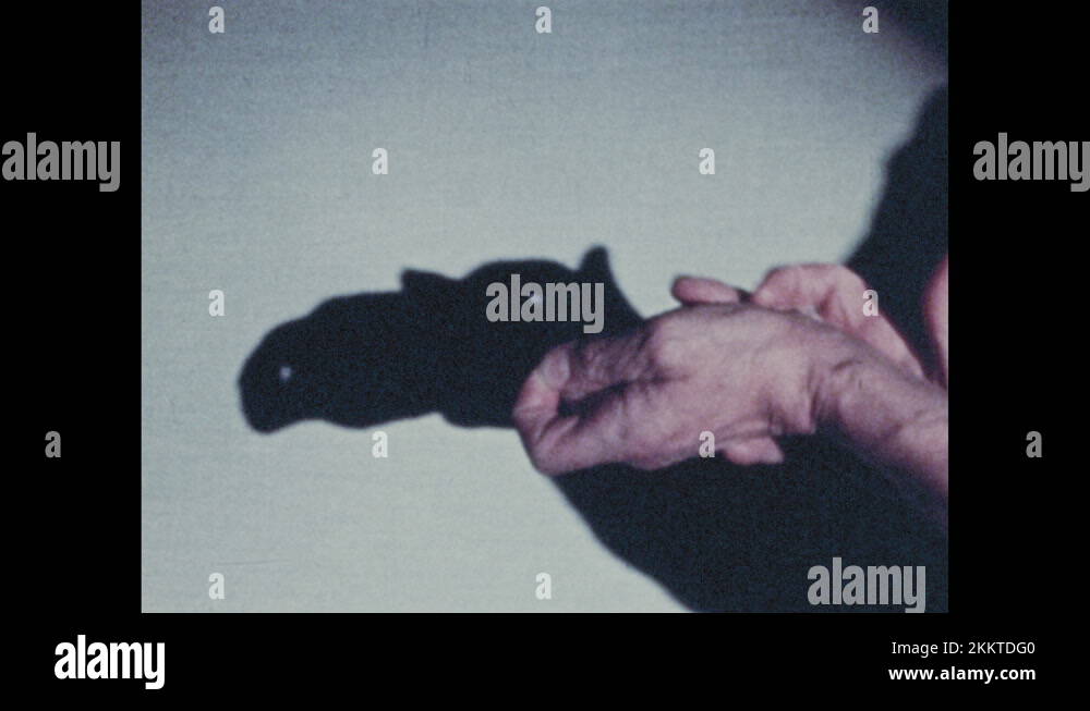 Shadow hands puppets Stock Videos & Footage - HD and 4K Video Clips - Alamy