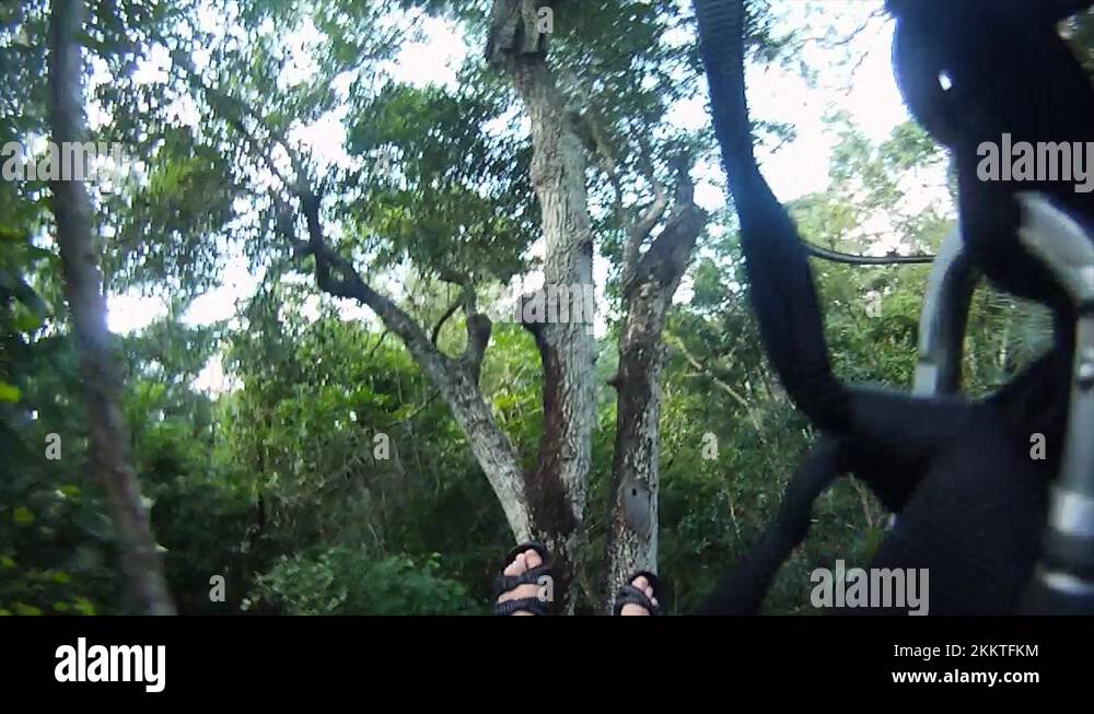 Unique and dynamic POV: part zipline, part rollercoaster in jungle ...