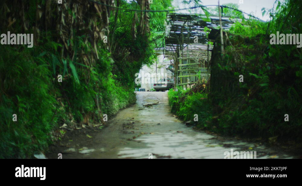 Small Farming Village in The Cameron Highlands, Malaysia Stock Video ...