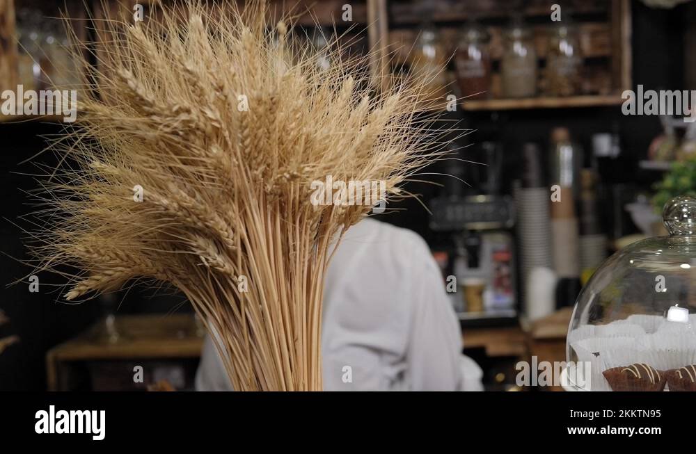 Seed wheat store Stock Videos & Footage - HD and 4K Video Clips - Alamy