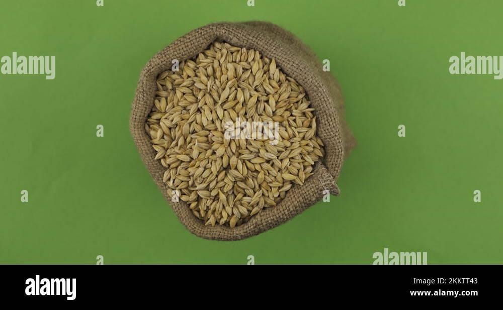 Sack of barley Stock Videos & Footage - HD and 4K Video Clips - Alamy