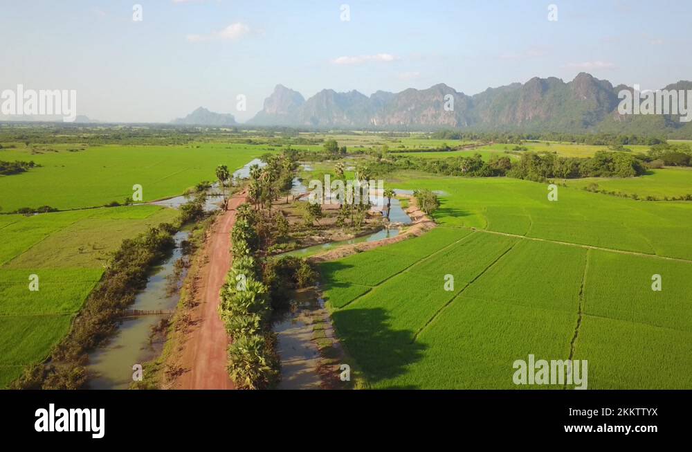 Agricultural paddy field Stock Videos & Footage - HD and 4K Video Clips ...