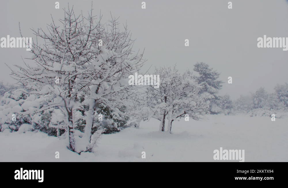 Quiet winter snow scene Stock Videos & Footage - HD and 4K Video Clips ...