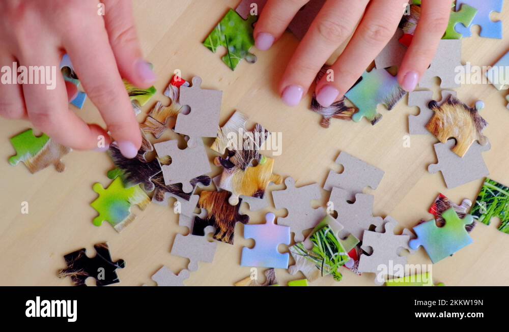 Interlocking puzzle Stock Videos & Footage - HD and 4K Video Clips - Alamy