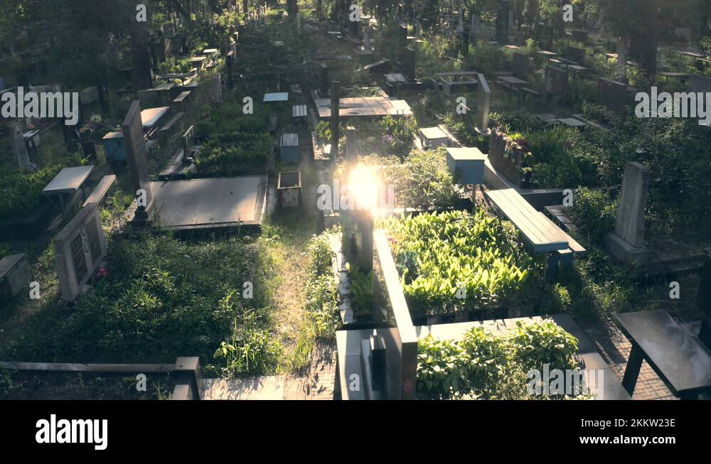 The death of grass Stock Videos & Footage - HD and 4K Video Clips - Alamy