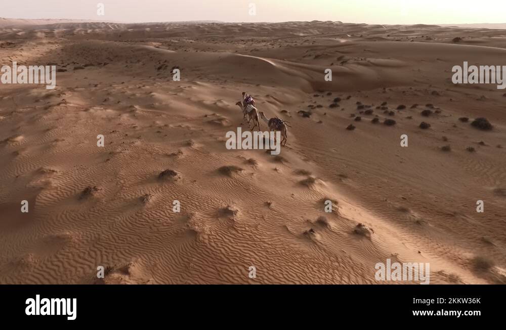 Camel merchant Stock Videos & Footage - HD and 4K Video Clips - Alamy