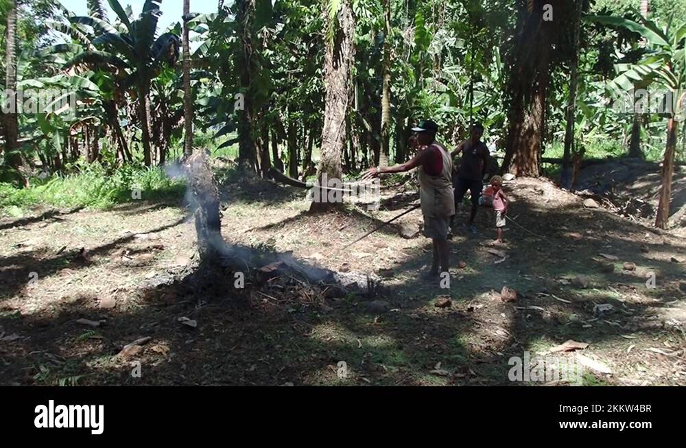 Papua new guinea rabaul town Stock Videos & Footage - HD and 4K Video ...