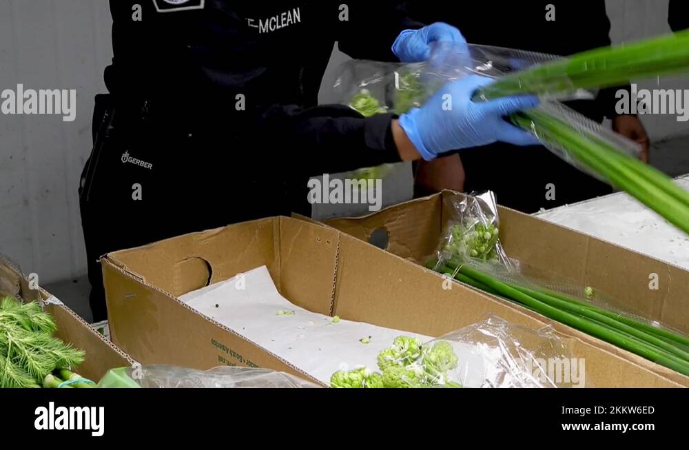 Non invasive inspection Stock Videos & Footage - HD and 4K Video Clips ...