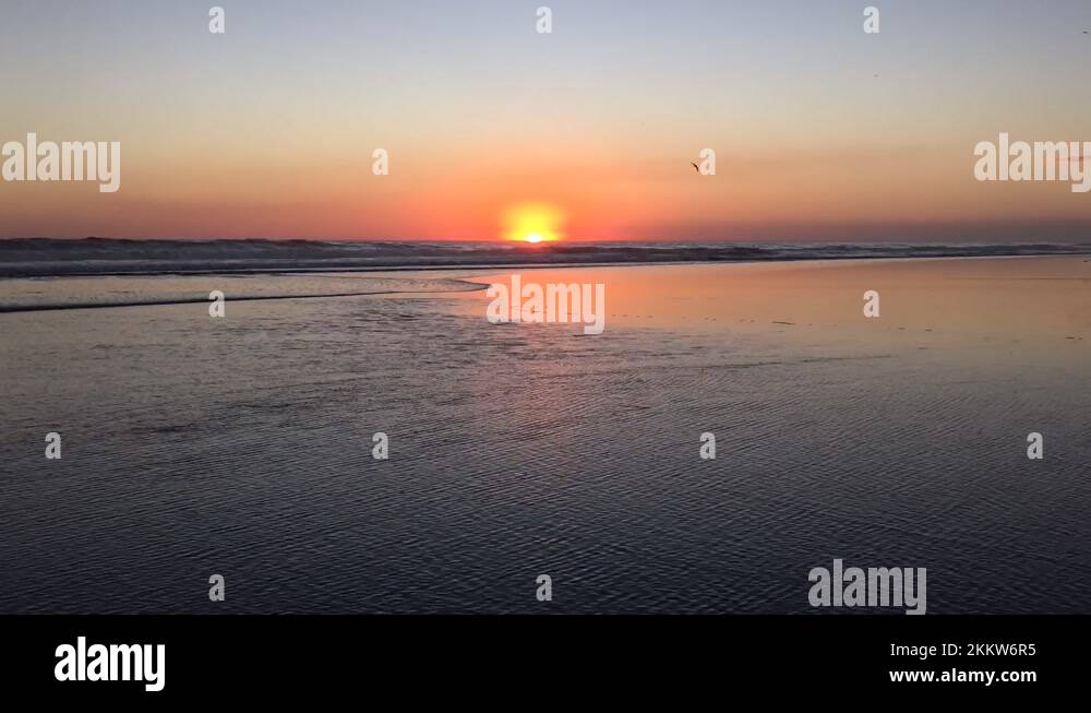 Beach life Stock Videos & Footage - HD and 4K Video Clips - Alamy