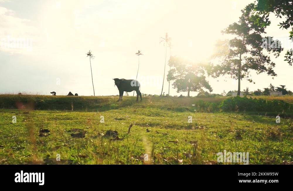 Child Stock Videos & Footage - HD and 4K Video Clips - Alamy