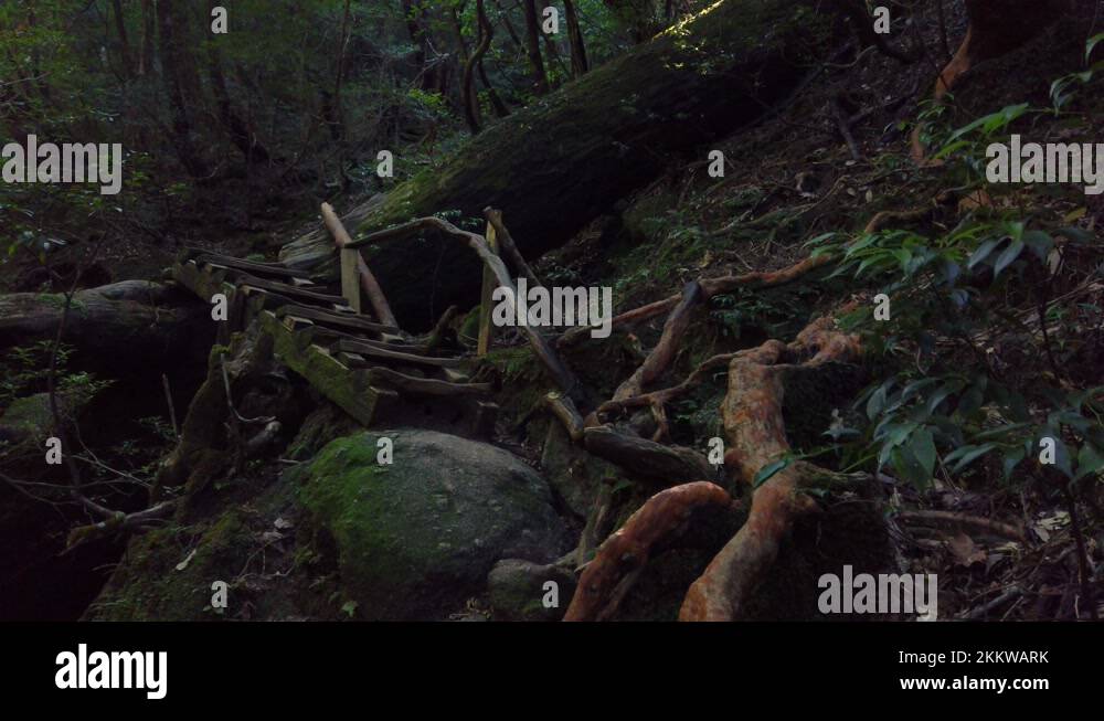 Jomon japan Stock Videos & Footage - HD and 4K Video Clips - Alamy