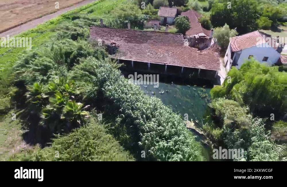 Brown surround Stock Videos & Footage - HD and 4K Video Clips - Alamy