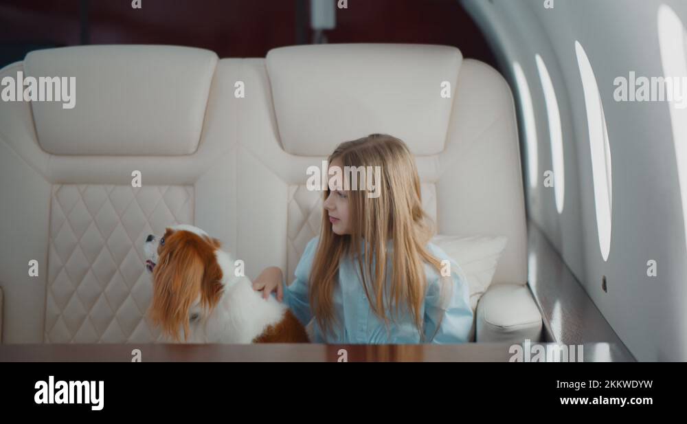 First class cabin crew Stock Videos & Footage - HD and 4K Video Clips ...