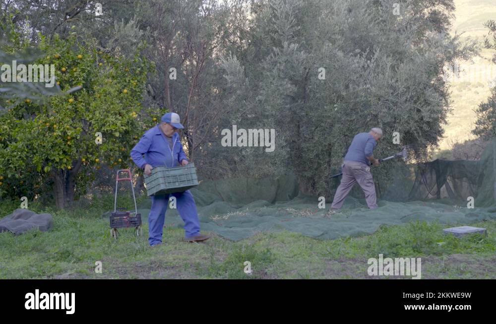 Spanish field worker Stock Videos & Footage - HD and 4K Video Clips - Alamy