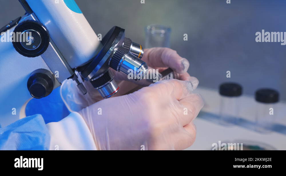 Close up of female scientist hands in cloves changing the samples on ...