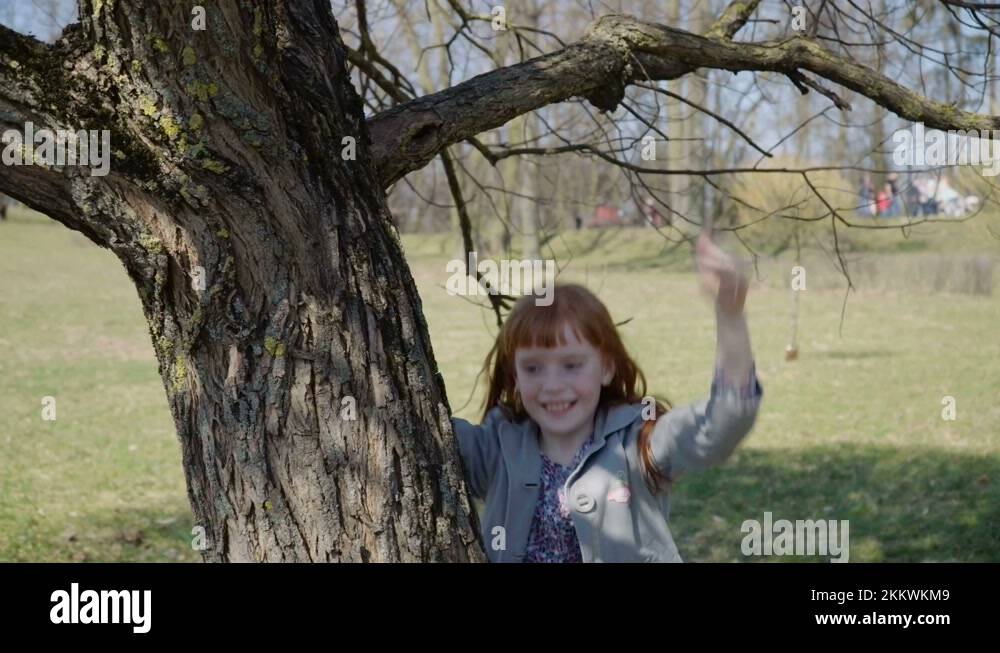 Smiling girl hugging tree Stock Videos & Footage - HD and 4K Video ...