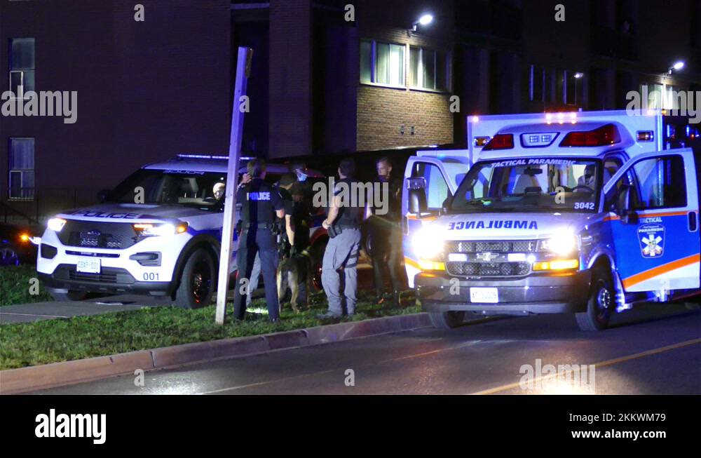 Police brigade Stock Videos & Footage - HD and 4K Video Clips - Alamy