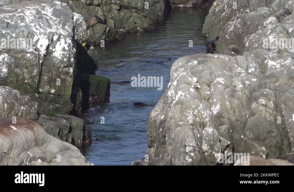 Trench seal Stock Videos & Footage - HD and 4K Video Clips - Alamy