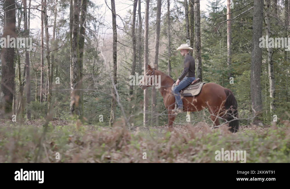 Cowboy riding horse side view through forest tracking 4K Stock Video ...