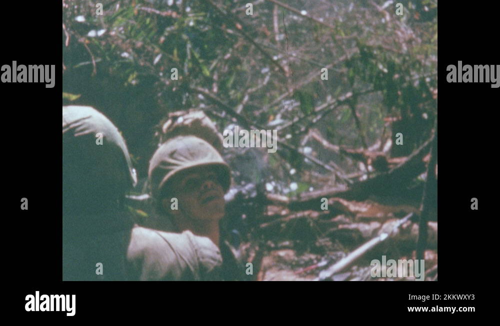 Jungle fighter Stock Videos & Footage - HD and 4K Video Clips - Alamy