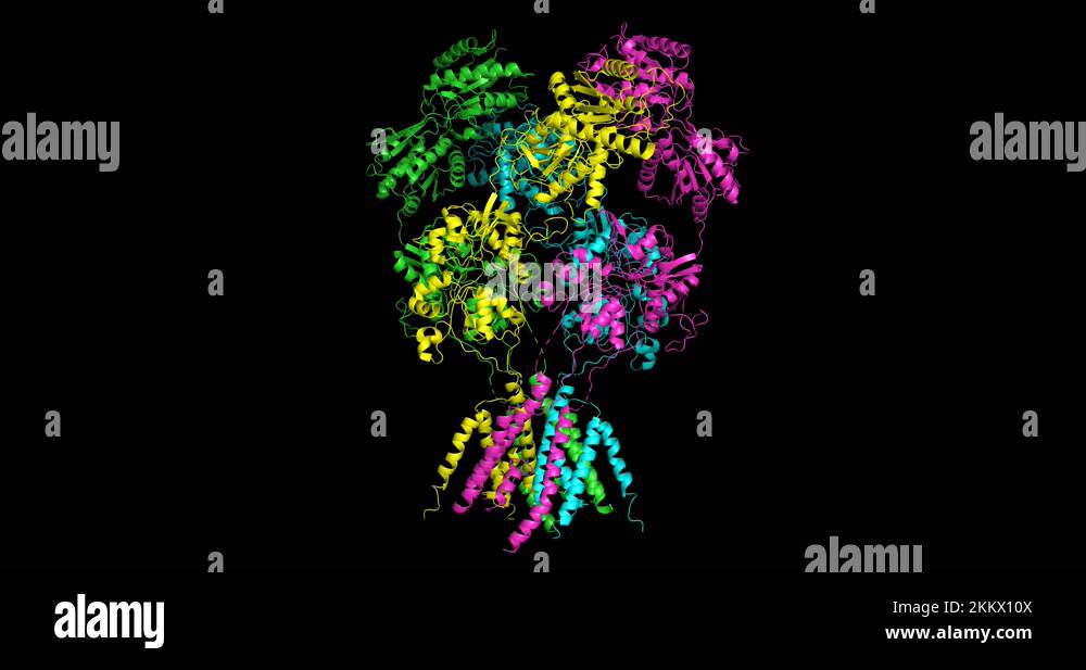 NMDA receptor molecule 3D render chemical structure seamless loop Stock ...