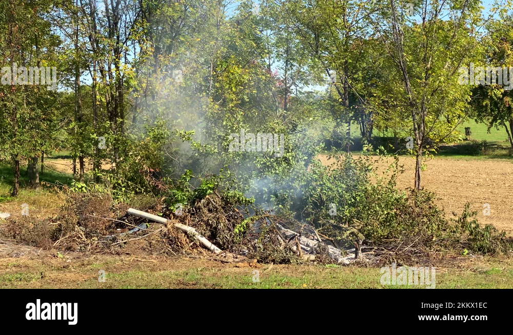 A brush fire burning up a pile of branches and rubbish Stock Video ...