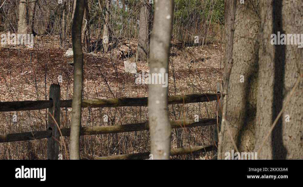 Farming peering Stock Videos & Footage - HD and 4K Video Clips - Alamy