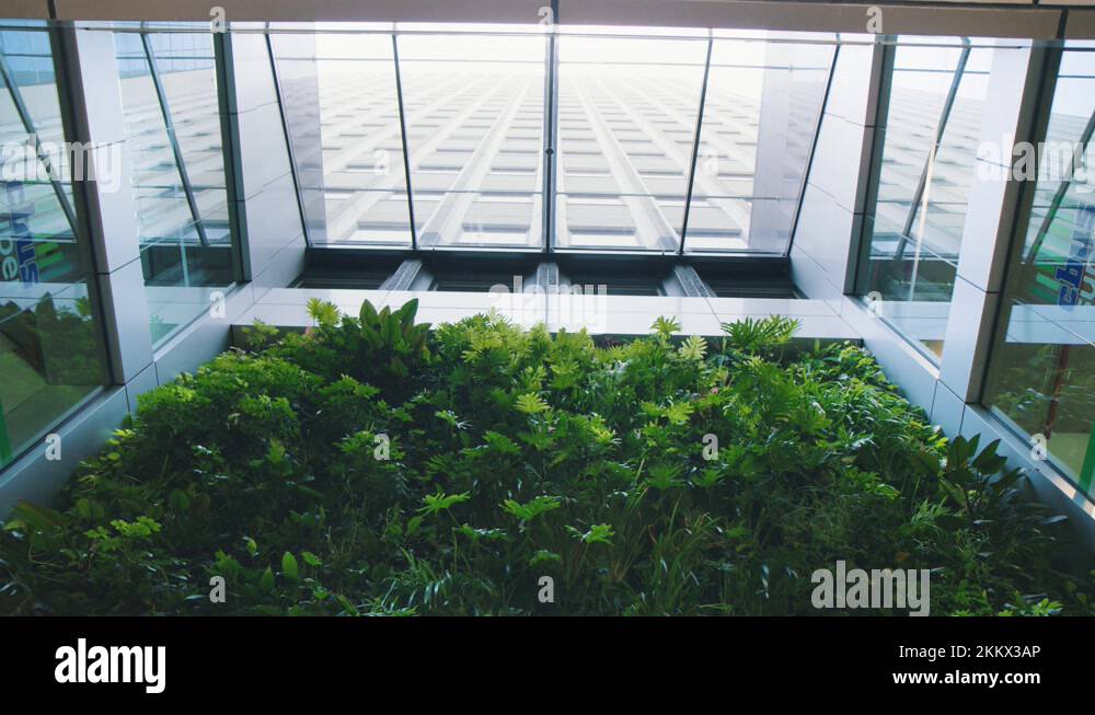 Glass atrium plants Stock Videos & Footage - HD and 4K Video Clips - Alamy