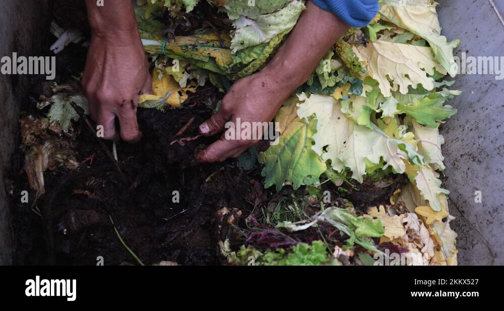 Compost conservation Stock Videos & Footage - HD and 4K Video Clips - Alamy