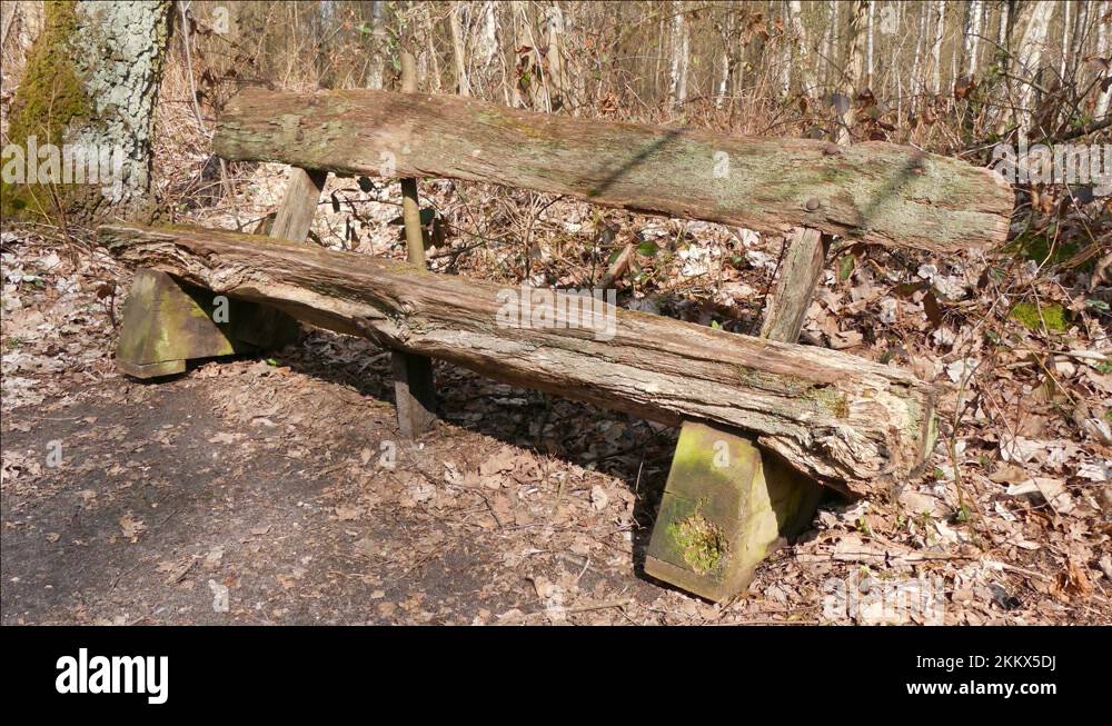The old bench Stock Videos & Footage - HD and 4K Video Clips - Alamy