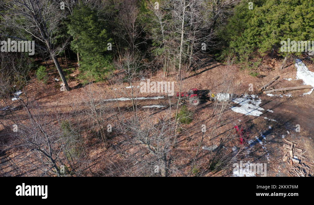 Collect the sap of maple trees Stock Videos & Footage - HD and 4K Video ...