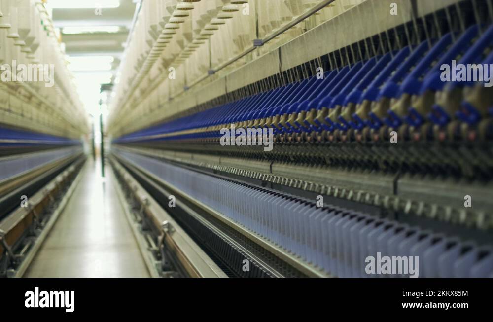 Cotton plant fabric Stock Videos & Footage - HD and 4K Video Clips - Alamy