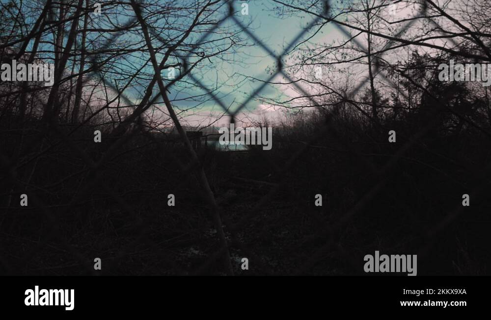 Tree growing into a metal fence Stock Videos & Footage - HD and 4K ...