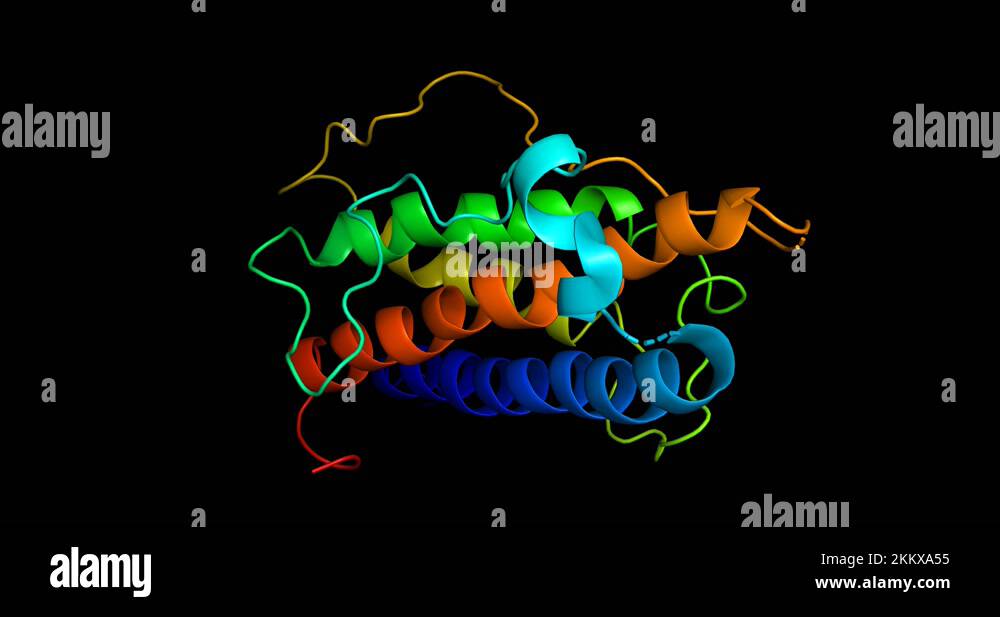 Human protein structure Stock Videos & Footage - HD and 4K Video Clips ...