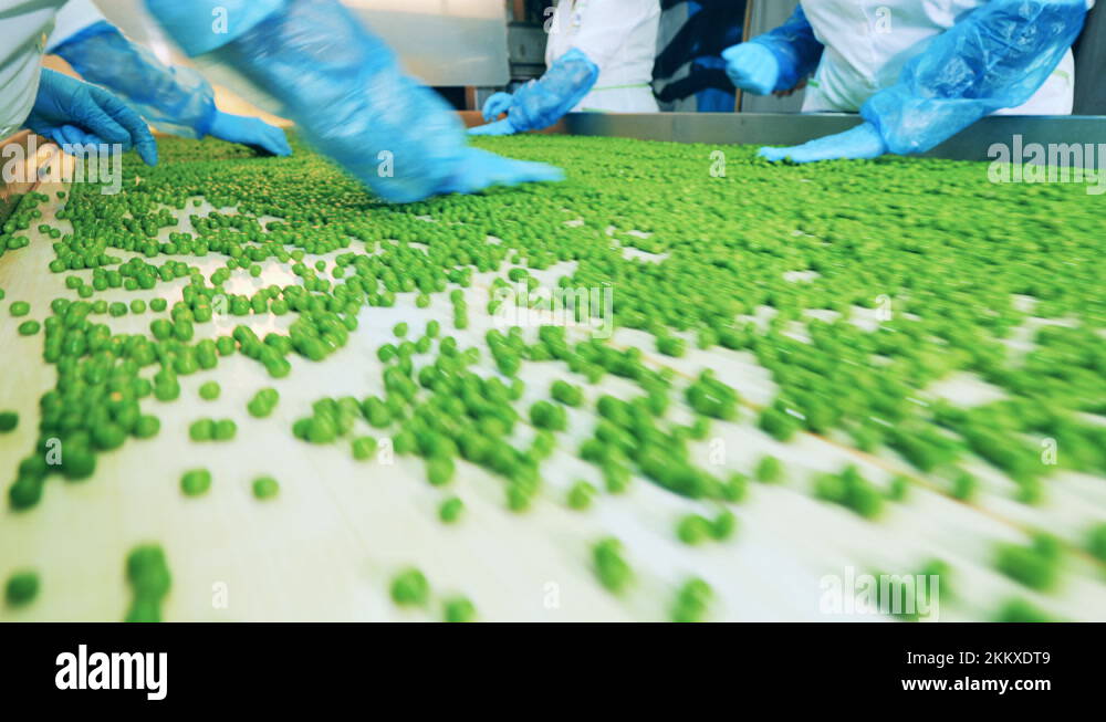 Processed peas Stock Videos & Footage - HD and 4K Video Clips - Alamy