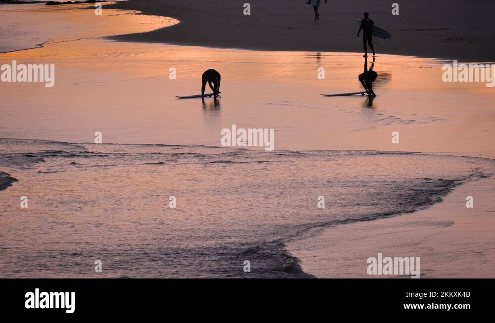 Snapper australia Stock Videos & Footage - HD and 4K Video Clips - Alamy