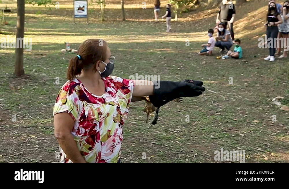 Hawk woman Stock Videos & Footage - HD and 4K Video Clips - Alamy