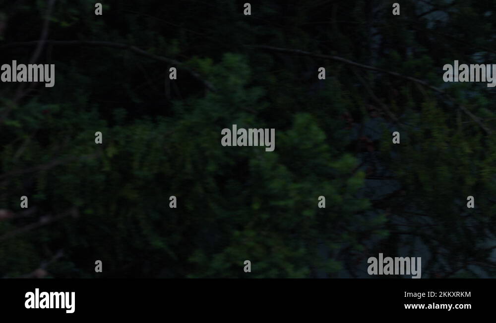Screaming ghost Stock Videos & Footage - HD and 4K Video Clips - Alamy