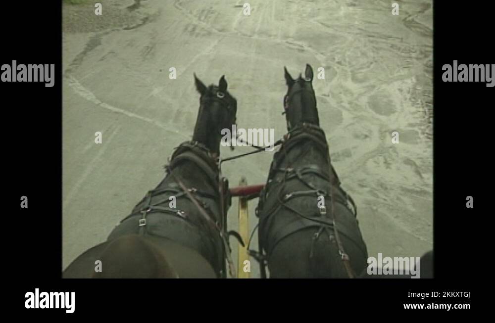 Victorian buggy Stock Videos & Footage - HD and 4K Video Clips - Alamy