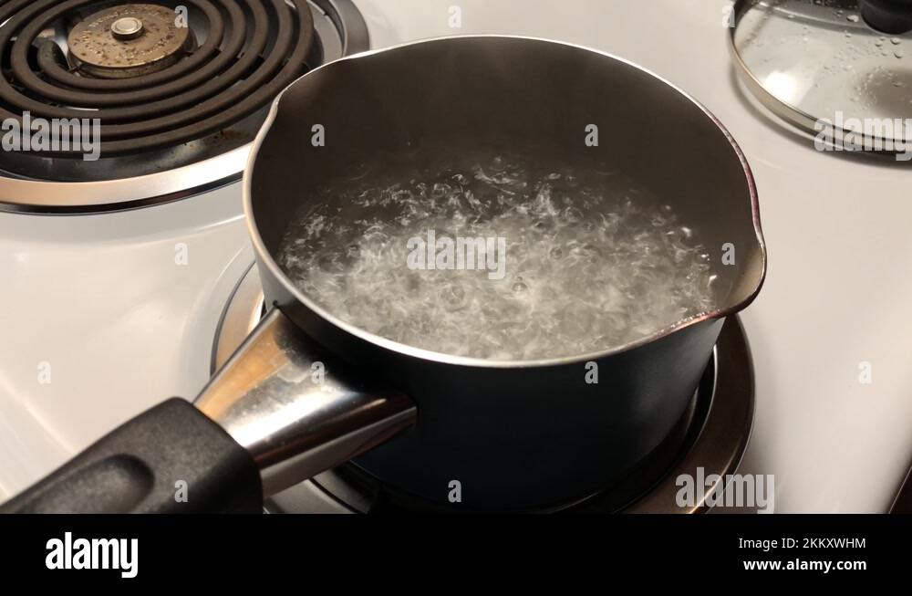 Boiling water on a stove Stock Videos & Footage - HD and 4K Video Clips ...