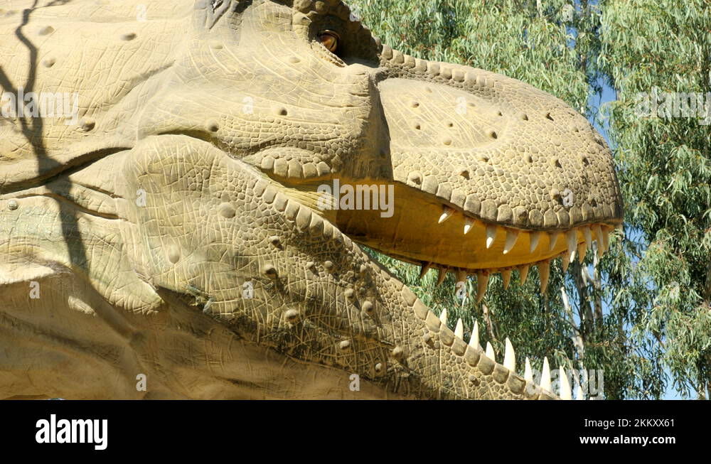 Model head of a tyrannosaurus rex dinosaur Stock Videos & Footage - HD ...